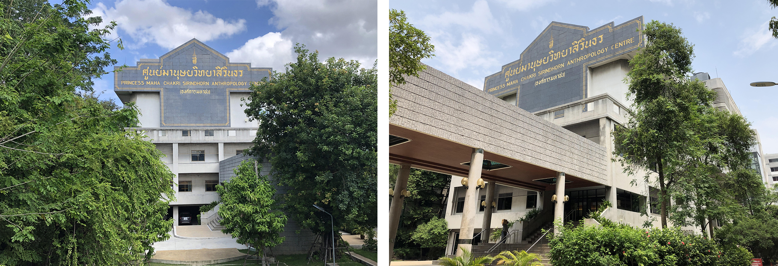 SAC Renovation – Supermachine Studio